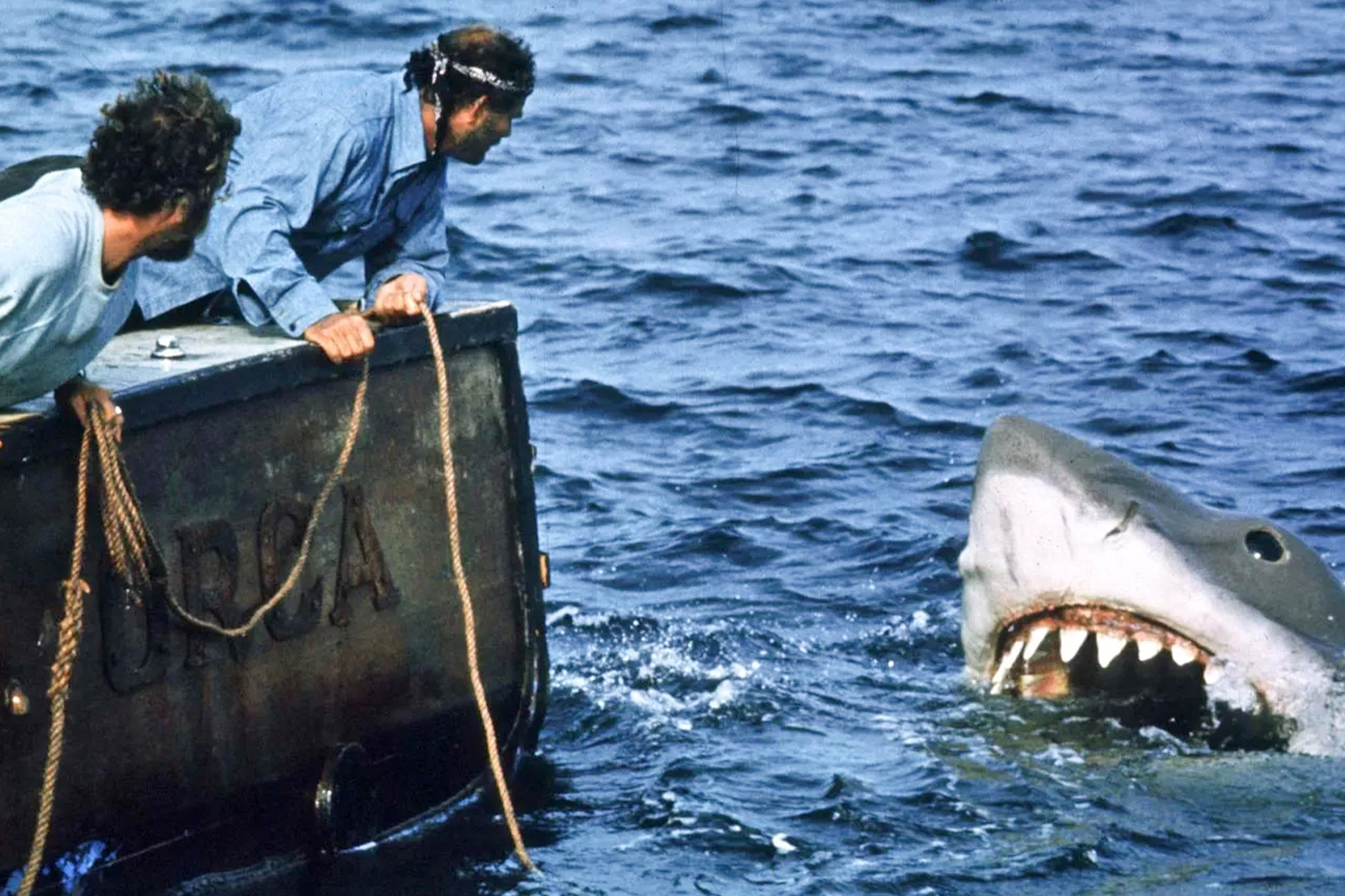 The 10 Best Quotes From ‘Jaws’ – Quote Catalog Blog